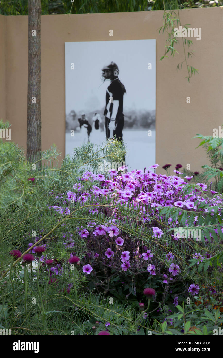 British Council Garden - India: A Billion Dreams. Designer: Sarah ...