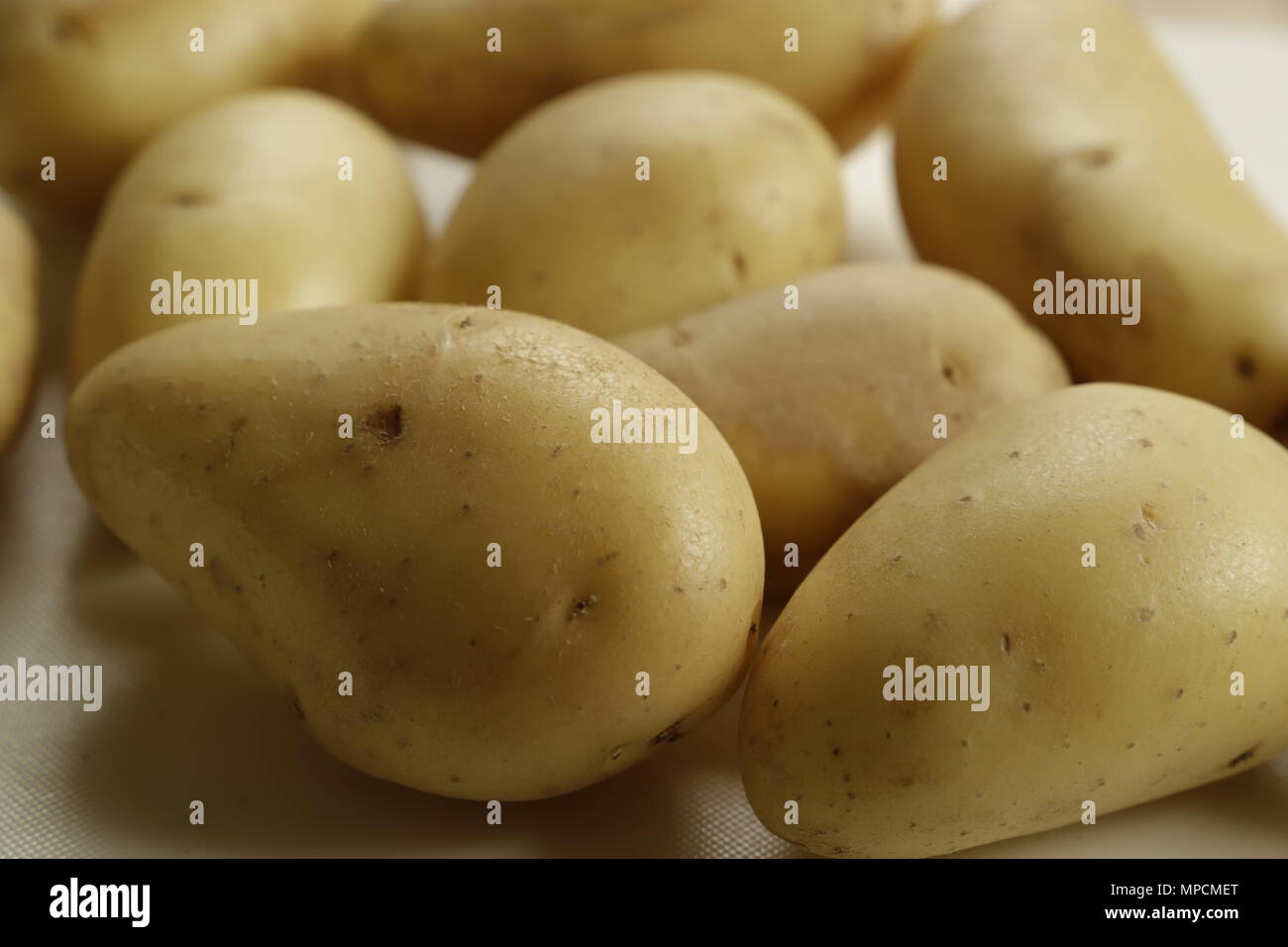 Agriculture Potato High Resolution Stock Photography and Images - Alamy