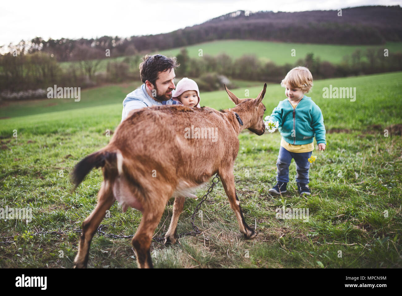 Father son goat hi-res stock photography and images - Alamy