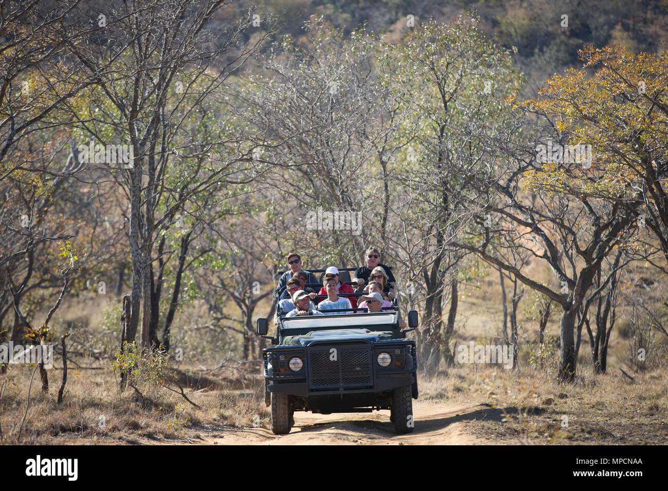 African game drive hi-res stock photography and images - Alamy