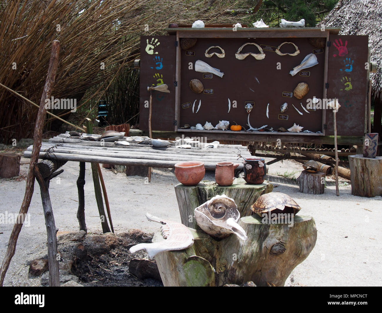Recreated Timucuan Village cookery at the Fountain of Youth park in St ...