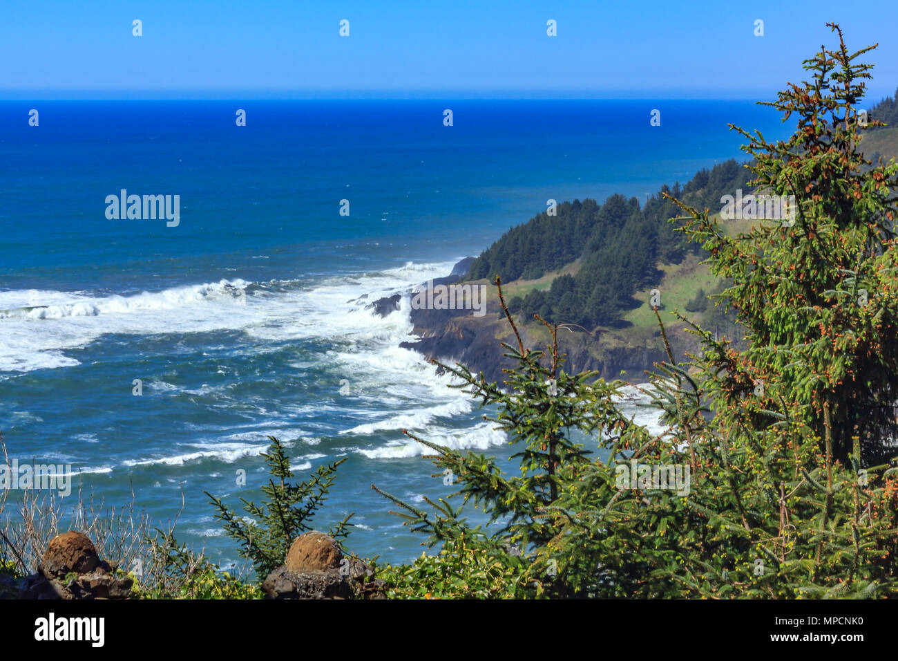 trees over ocean cliff Stock Photo - Alamy
