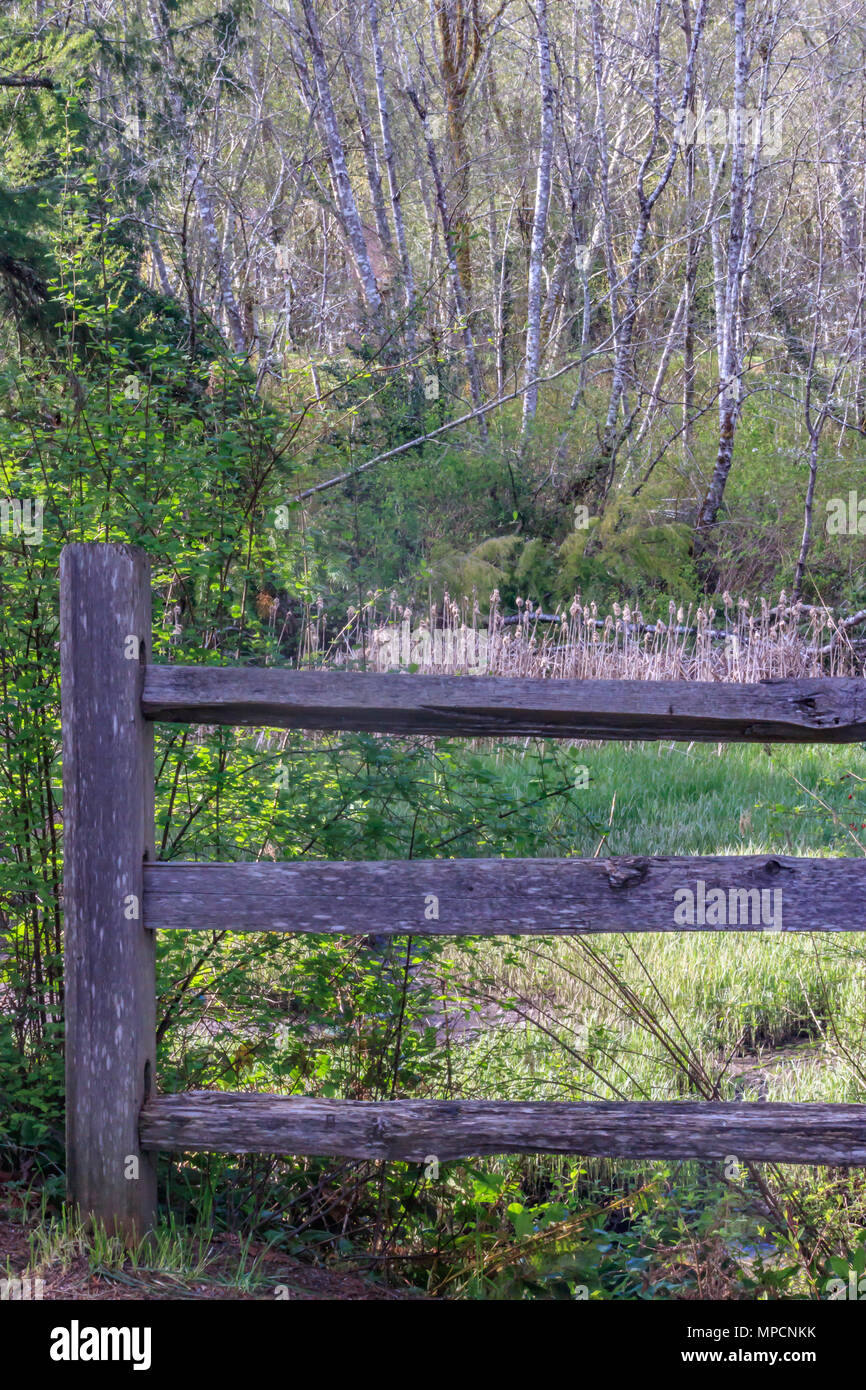 wooden fenceing near river and forest land Stock Photo - Alamy