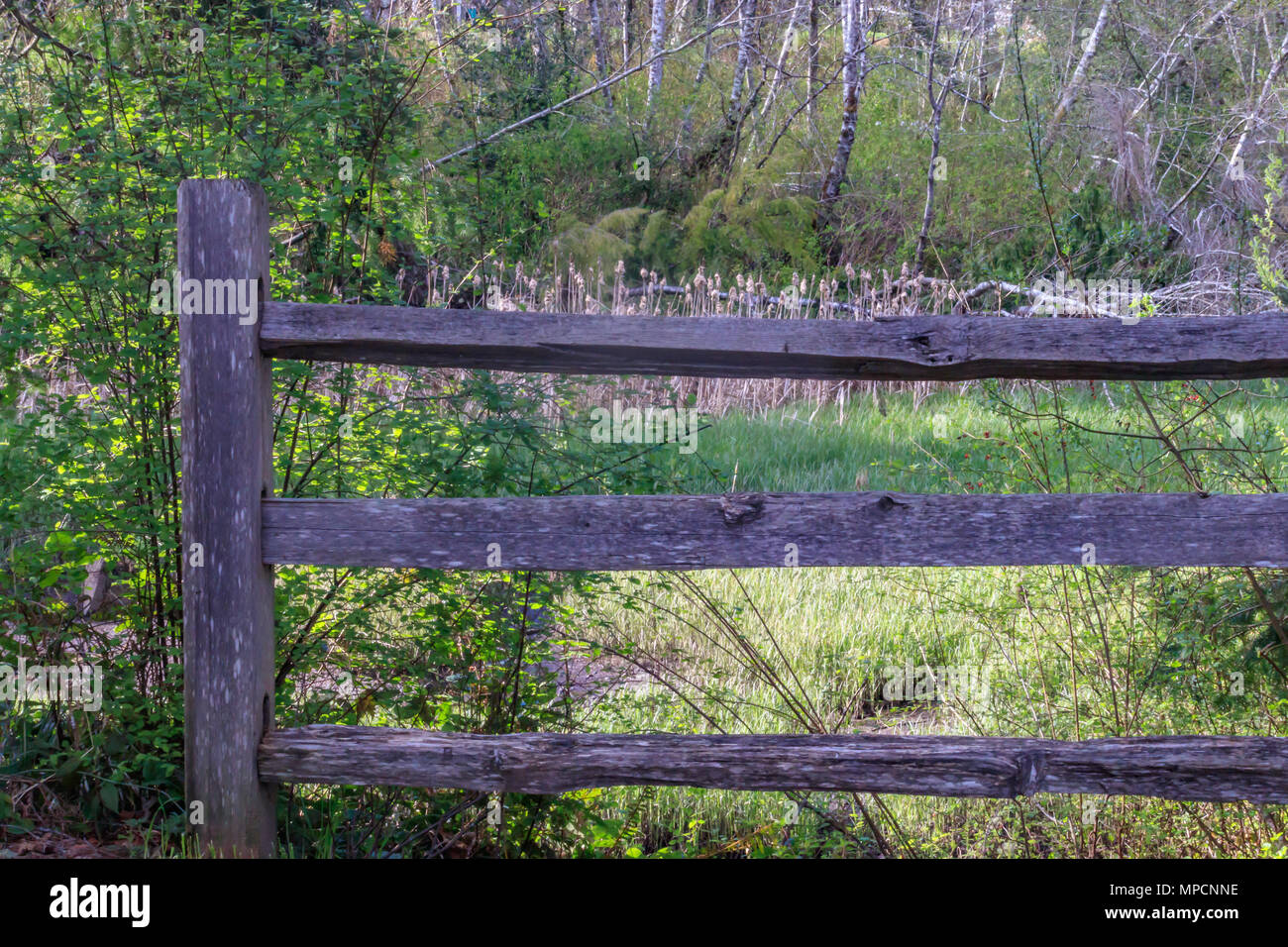 wooden fenceing near river and forest land Stock Photo - Alamy