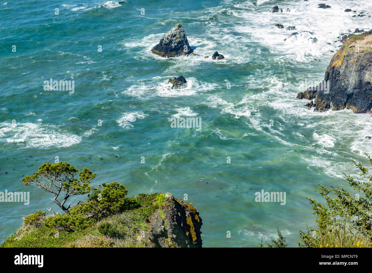 green tree hanging over cliff Stock Photo - Alamy