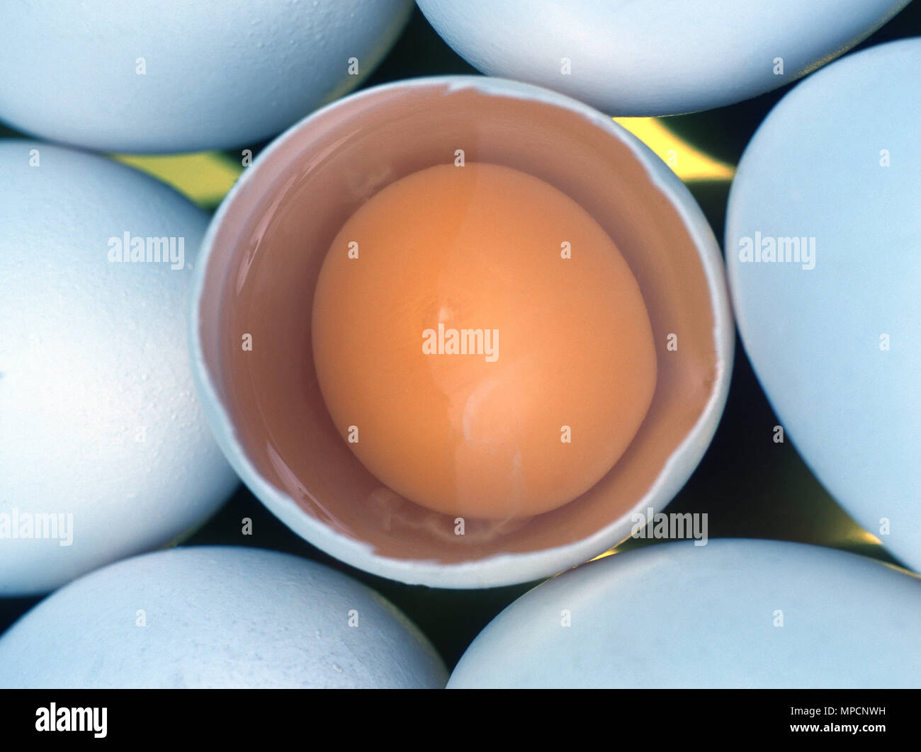 eggs, whole, broken, yolk Stock Photo - Alamy