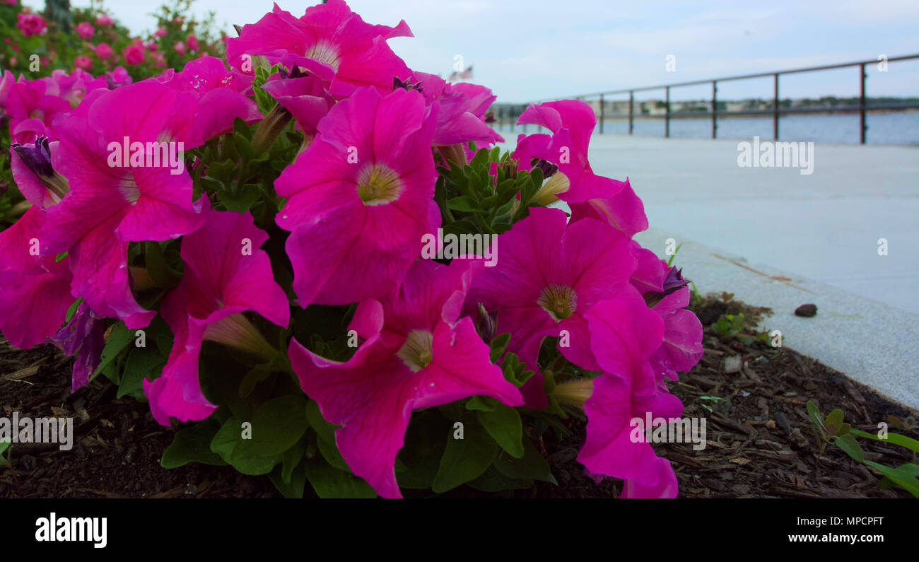 Artistic walkway hi-res stock photography and images - Alamy