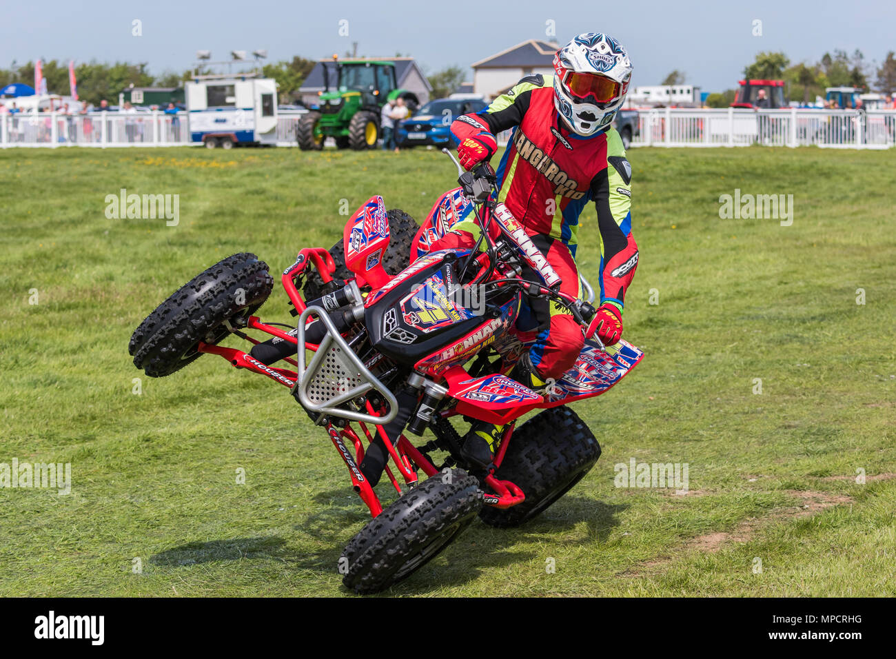 Kangaroo kid hi-res stock photography and images - Alamy