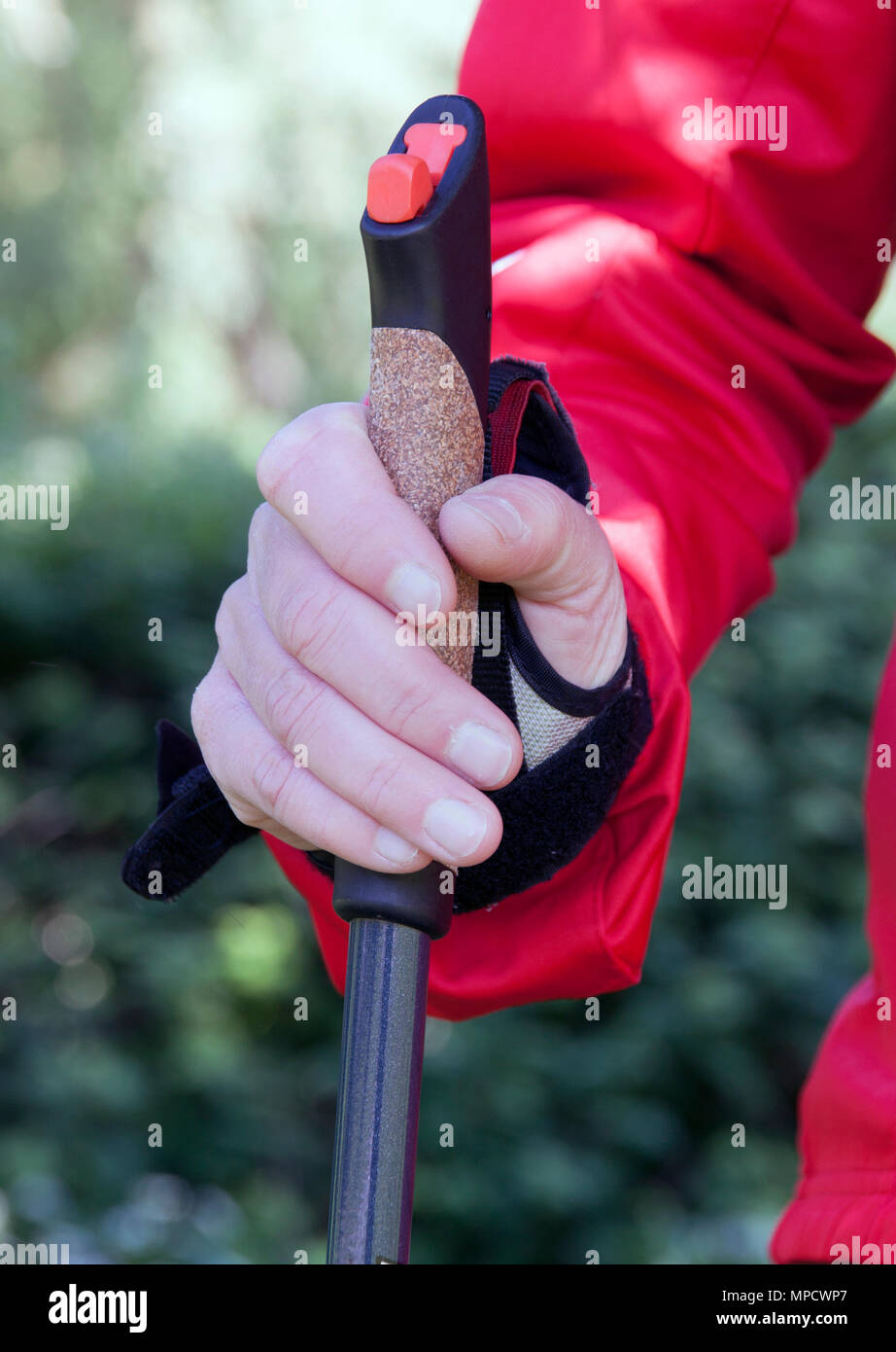 Walking pole hand hi-res stock photography and images - Alamy