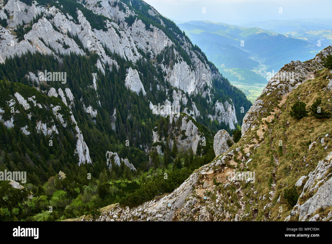 Landscape with limestone mountains covered in forests Stock Photo - Alamy