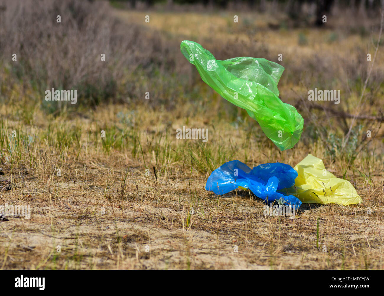 empty garbage bag flies on a summer sunny day, copy space Stock Photo ...