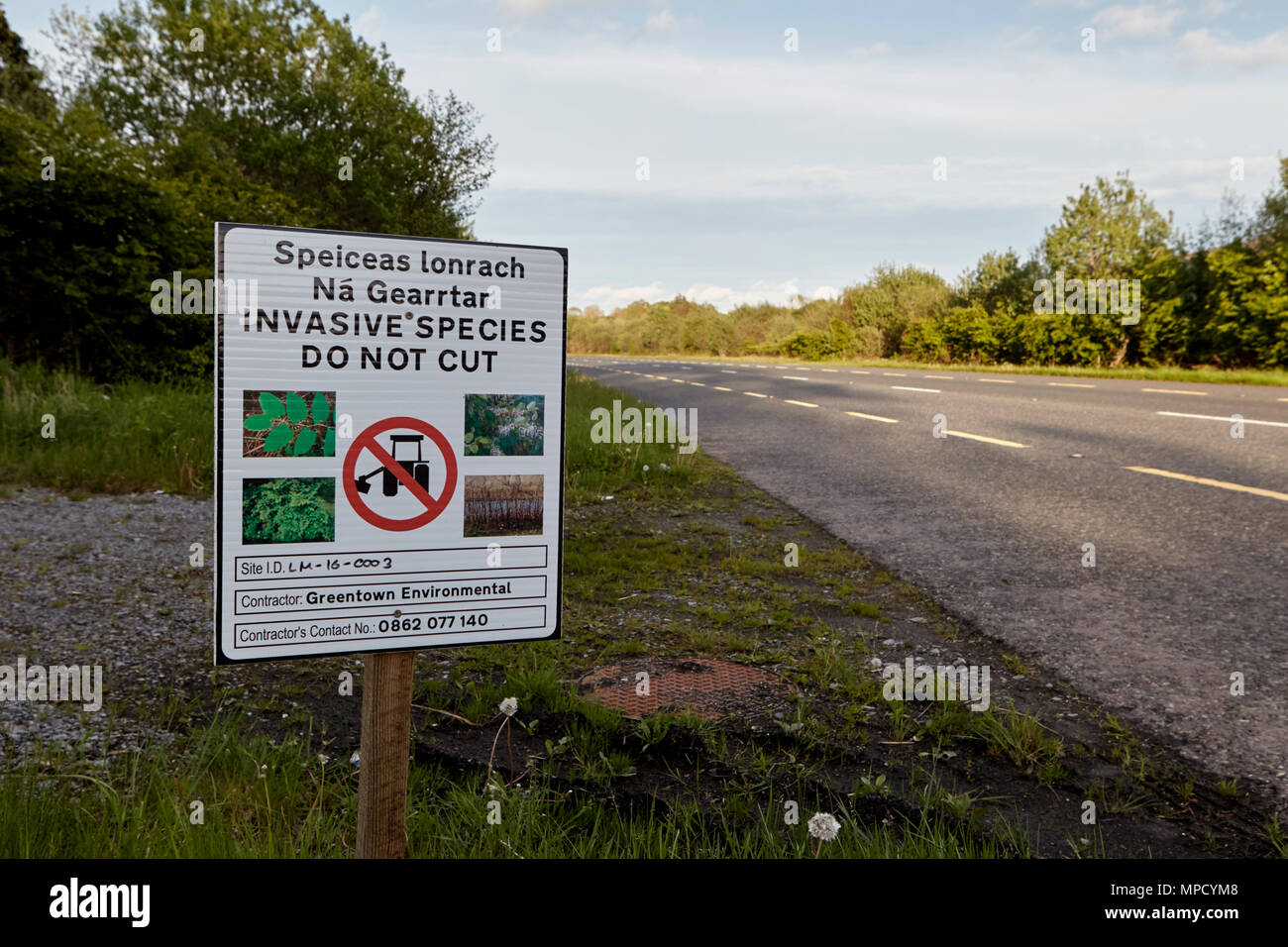 roadside warning sign do not cut invasive plant species county leitrim ...