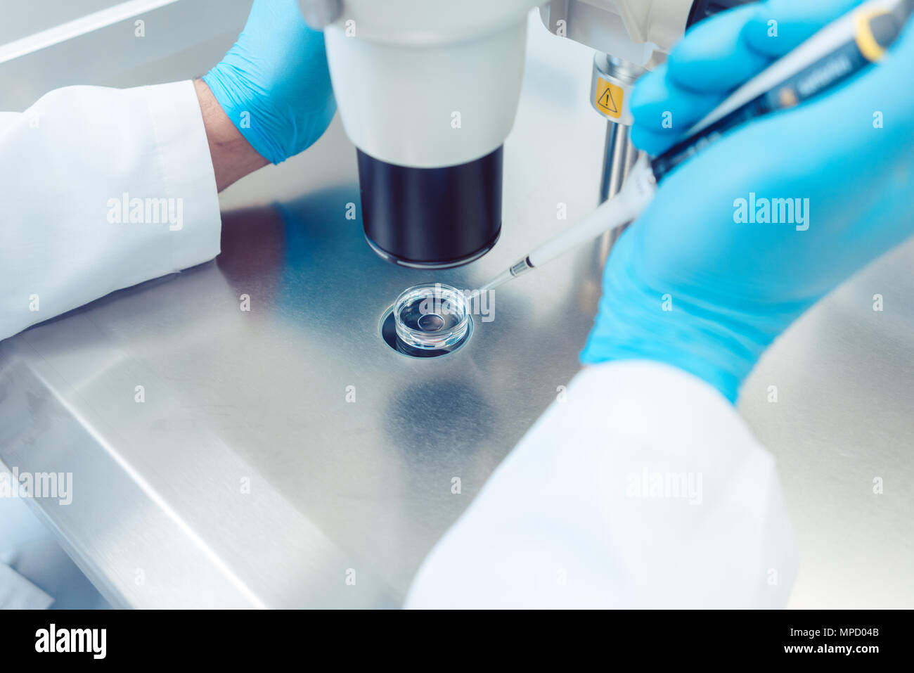 Woman scientist working with pipette in laboratory Stock Photo - Alamy