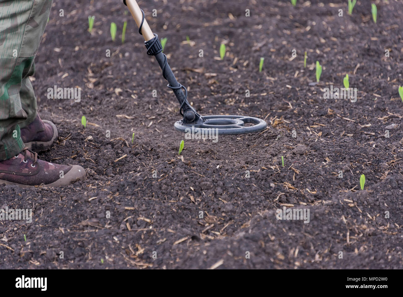 Cartoon old man treasure hi-res stock photography and images - Alamy