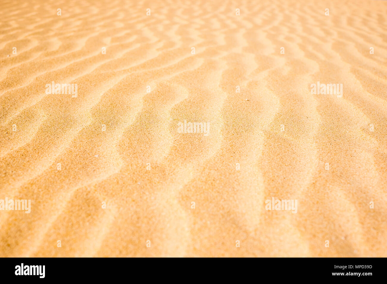 Straight lines in sand hi-res stock photography and images - Alamy