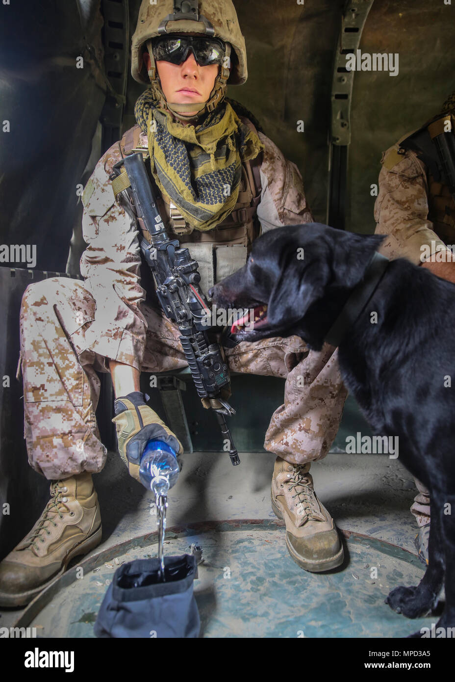 Human targets hi-res stock photography and images - Alamy