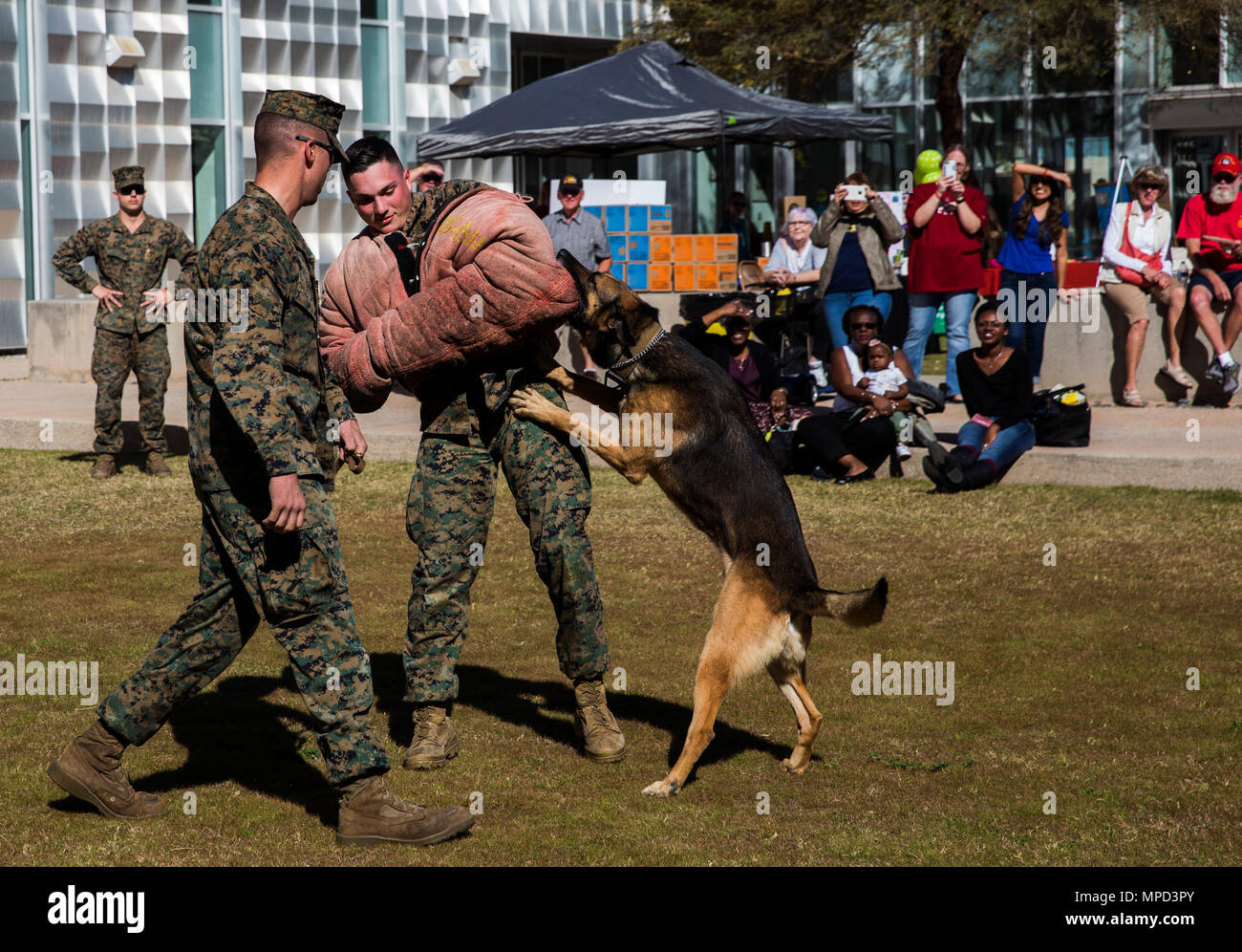 Marine aggressor squadron hi-res stock photography and images - Alamy