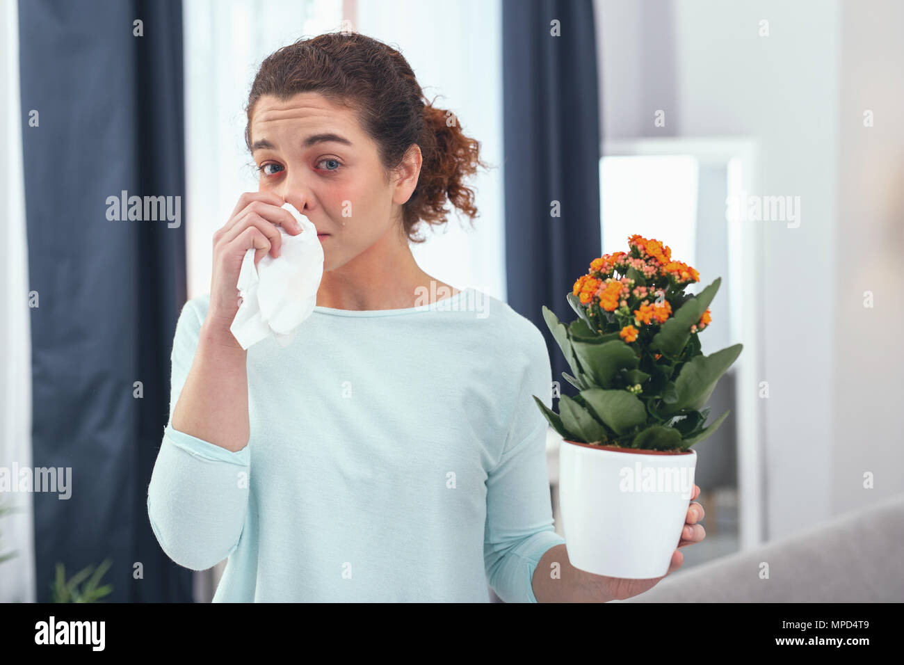 Sore flower plants hi-res stock photography and images - Alamy