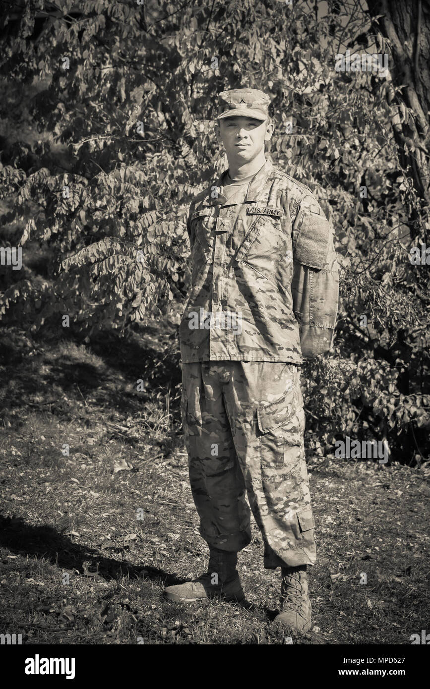 Vcat hi-res stock photography and images - Alamy