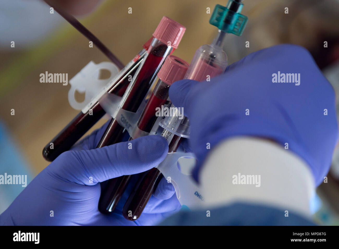 Blood pumps into test tubes during the Armed Services Blood Bank Center ...