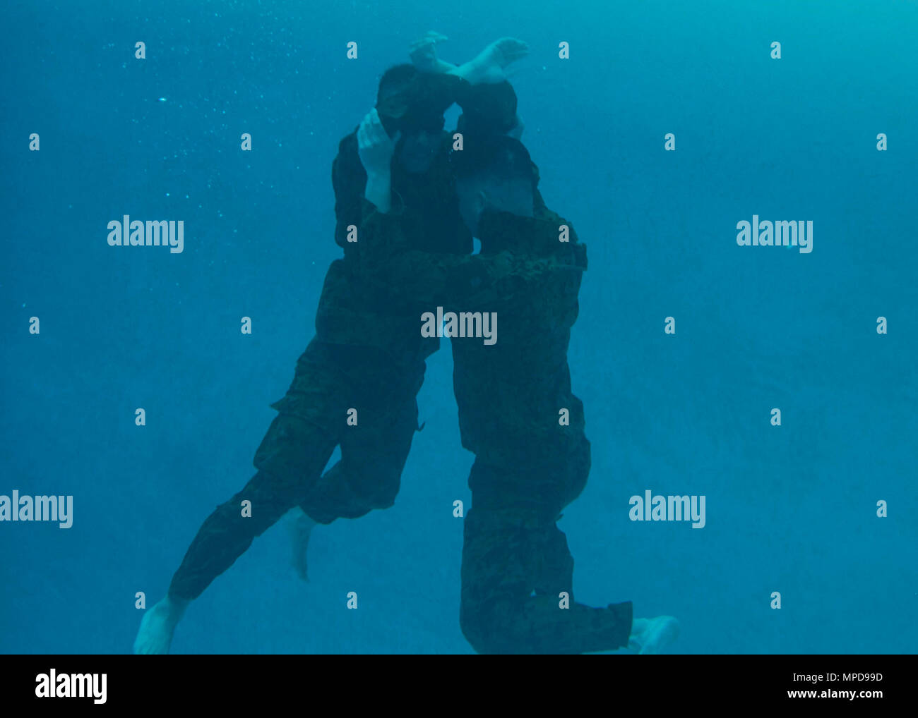 Soldiers of the Japanese Ground Self Defense Force (JGSDF) perform ...