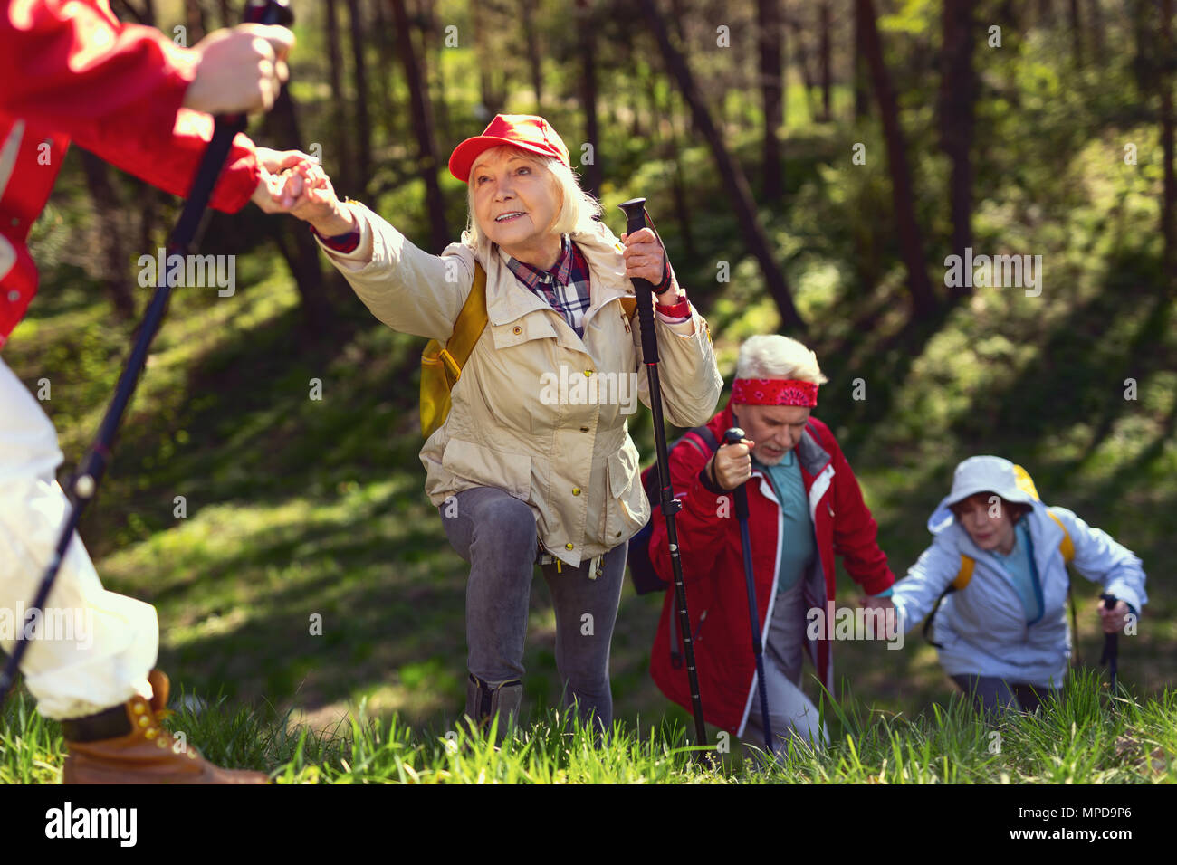 Alert team hiking in the forest Stock Photo - Alamy
