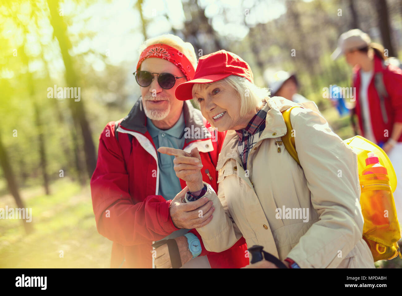 Happy woman pointing at animals Stock Photo - Alamy