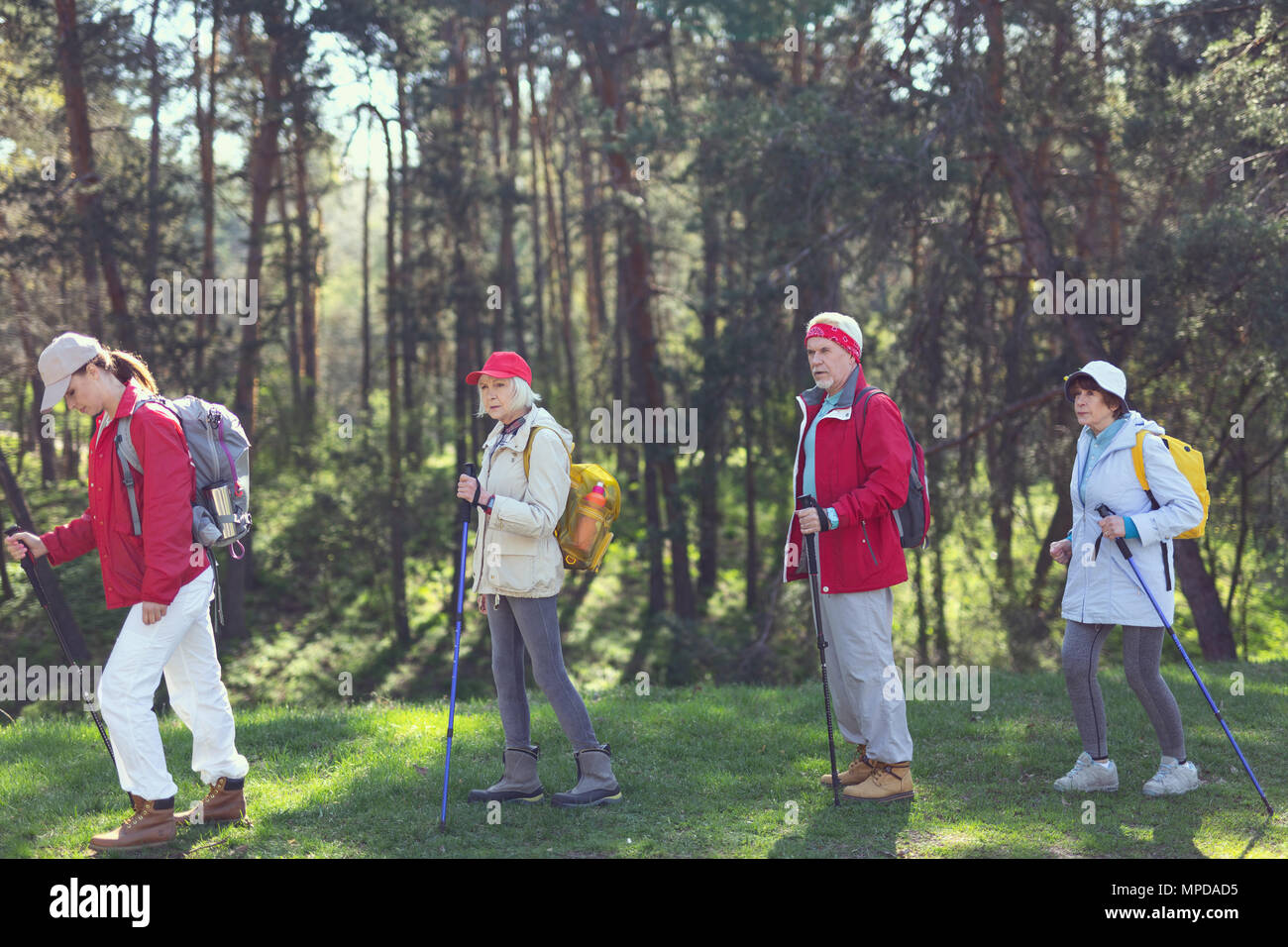Concentrated team hiking in the woods Stock Photo - Alamy
