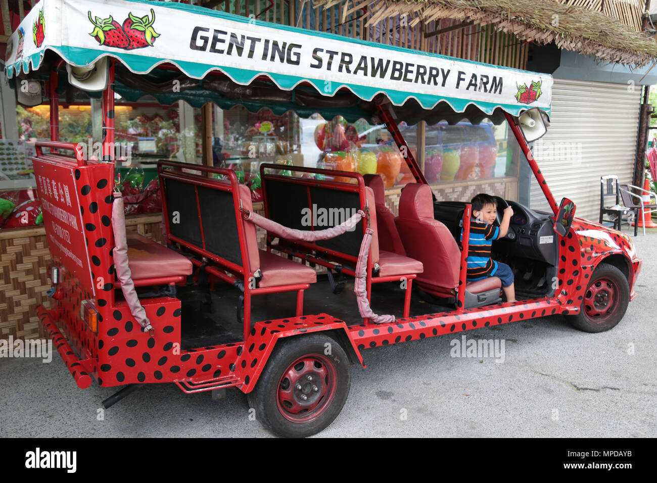 Strawberry farm passenger car Stock Photo - Alamy