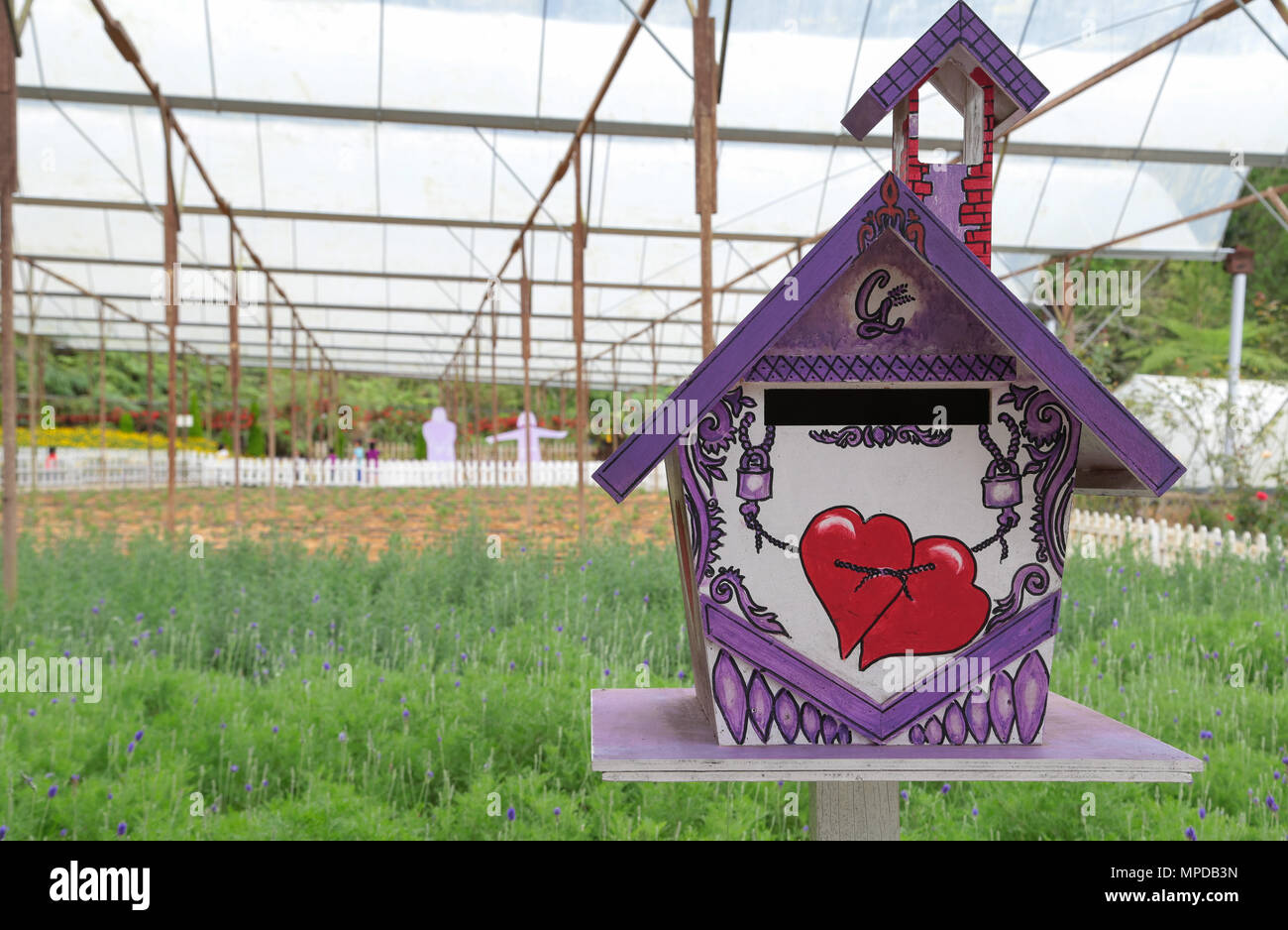 Colorful mail box at a lavender flower garden Stock Photo - Alamy