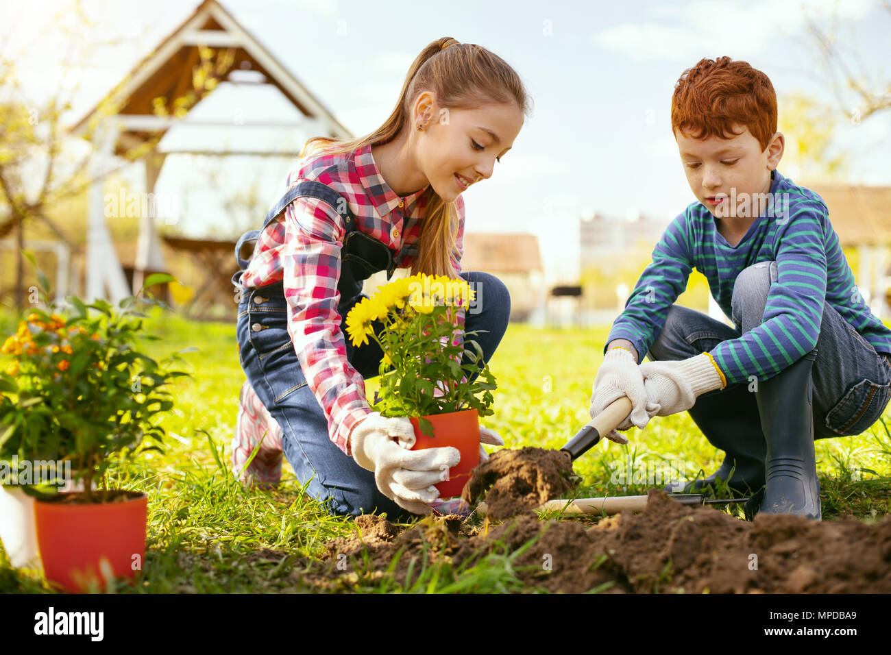 Cute positive girl helping her brother Stock Photo - Alamy