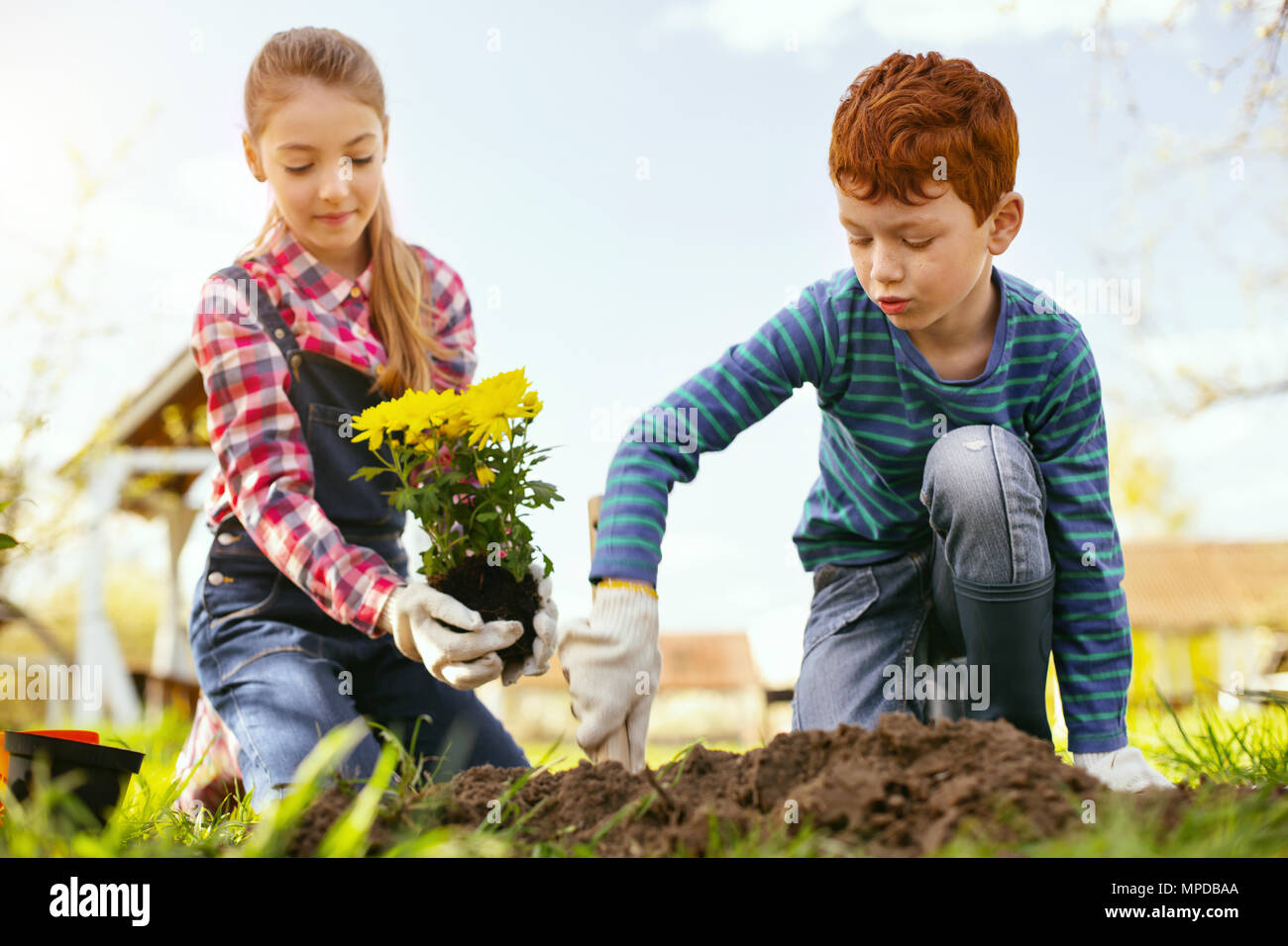 Children digging a hole hi-res stock photography and images - Alamy
