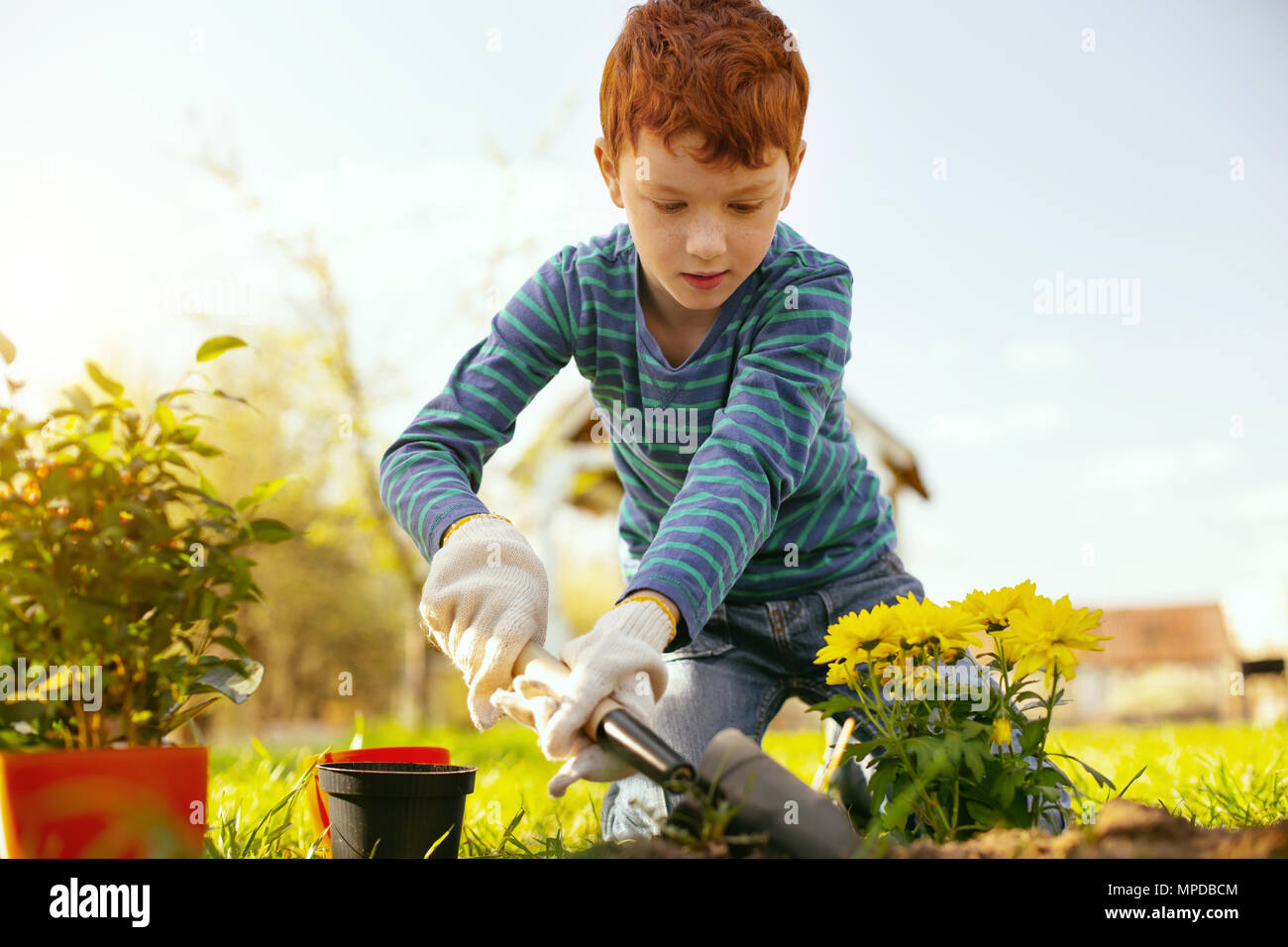 Serious nice boy being concentrated on work Stock Photo - Alamy
