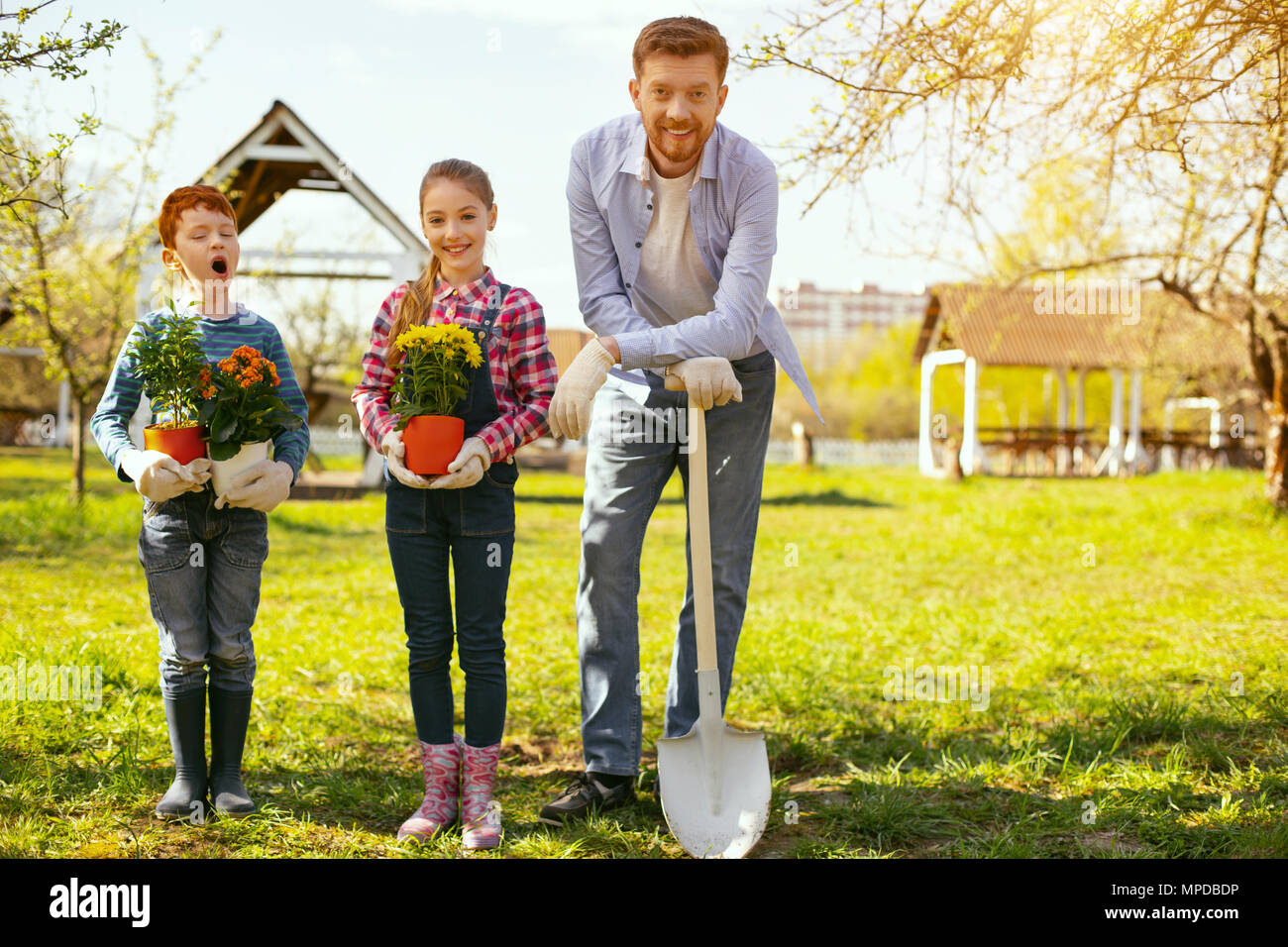 Nice joyful man holding a spade Stock Photo - Alamy