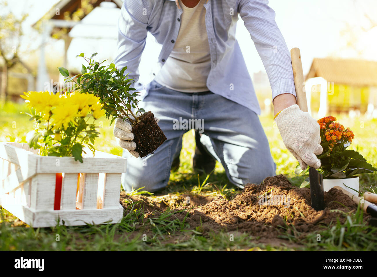 Nice pleasant man digging a hole Stock Photo - Alamy