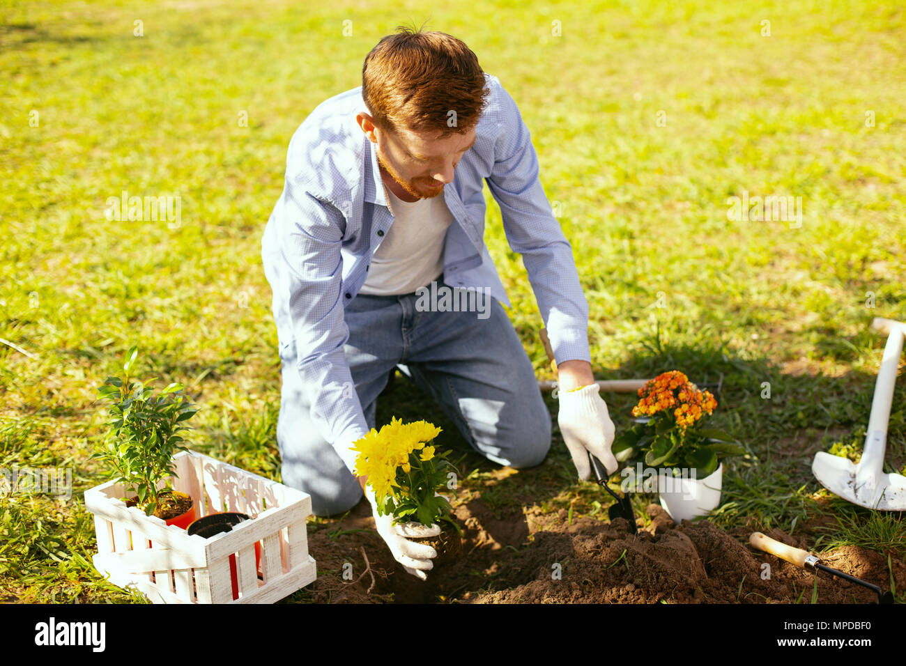 Botany ecosystem hi-res stock photography and images - Alamy