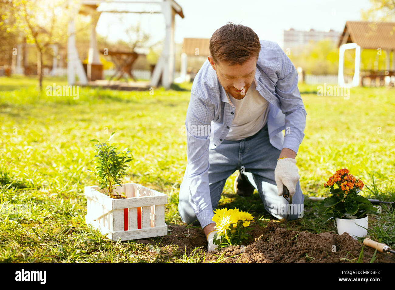 Joyful handsome man putting flowers into the ground Stock Photo - Alamy