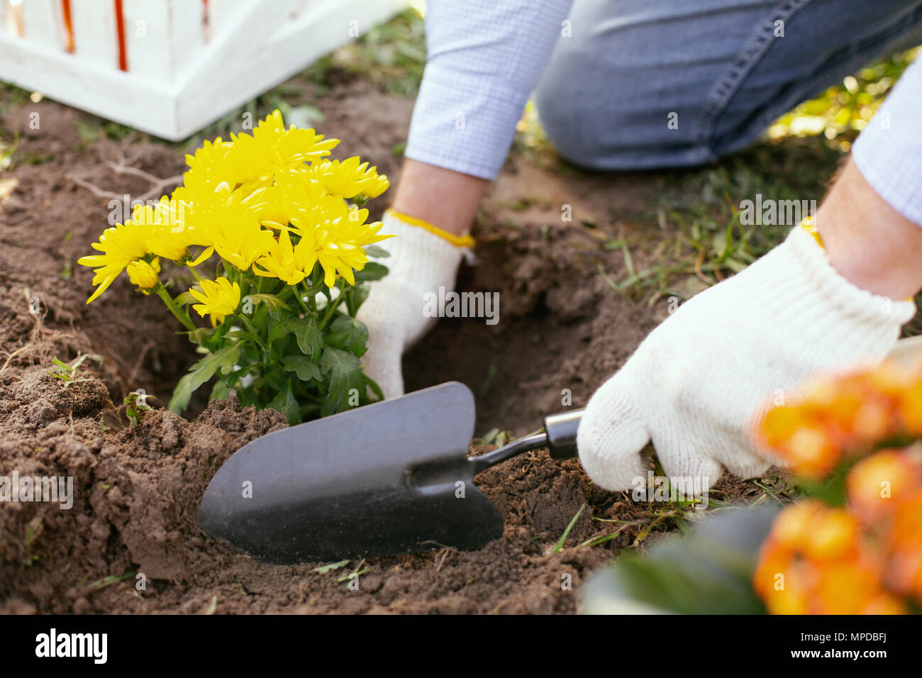 Floriculture alone hi-res stock photography and images - Alamy