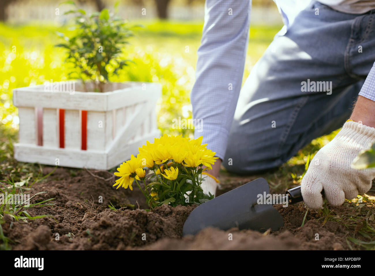 Floriculture alone hi-res stock photography and images - Alamy