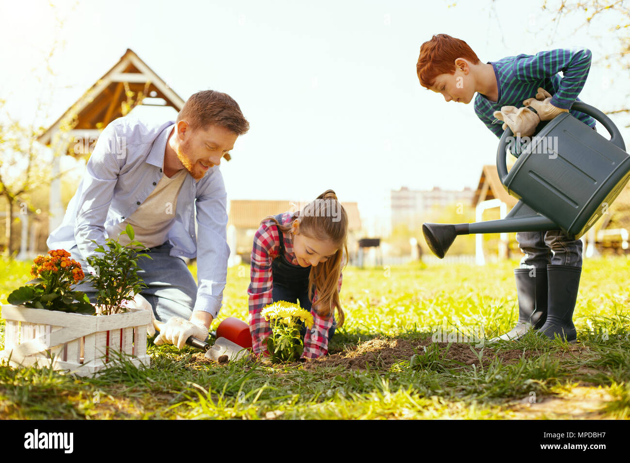 Nice cute boy helping his family Stock Photo - Alamy