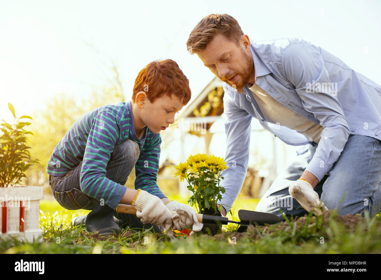 Father of botany hi-res stock photography and images - Alamy