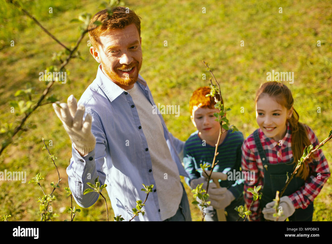 Happy delighted man pointing at the trees Stock Photo - Alamy
