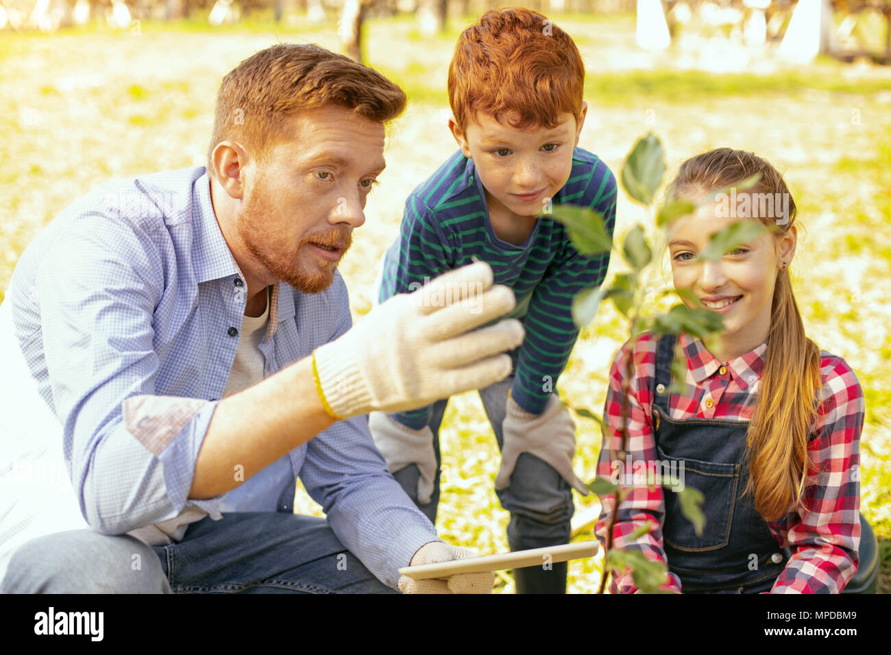 Nice pleasant man pointing at the young tree Stock Photo - Alamy