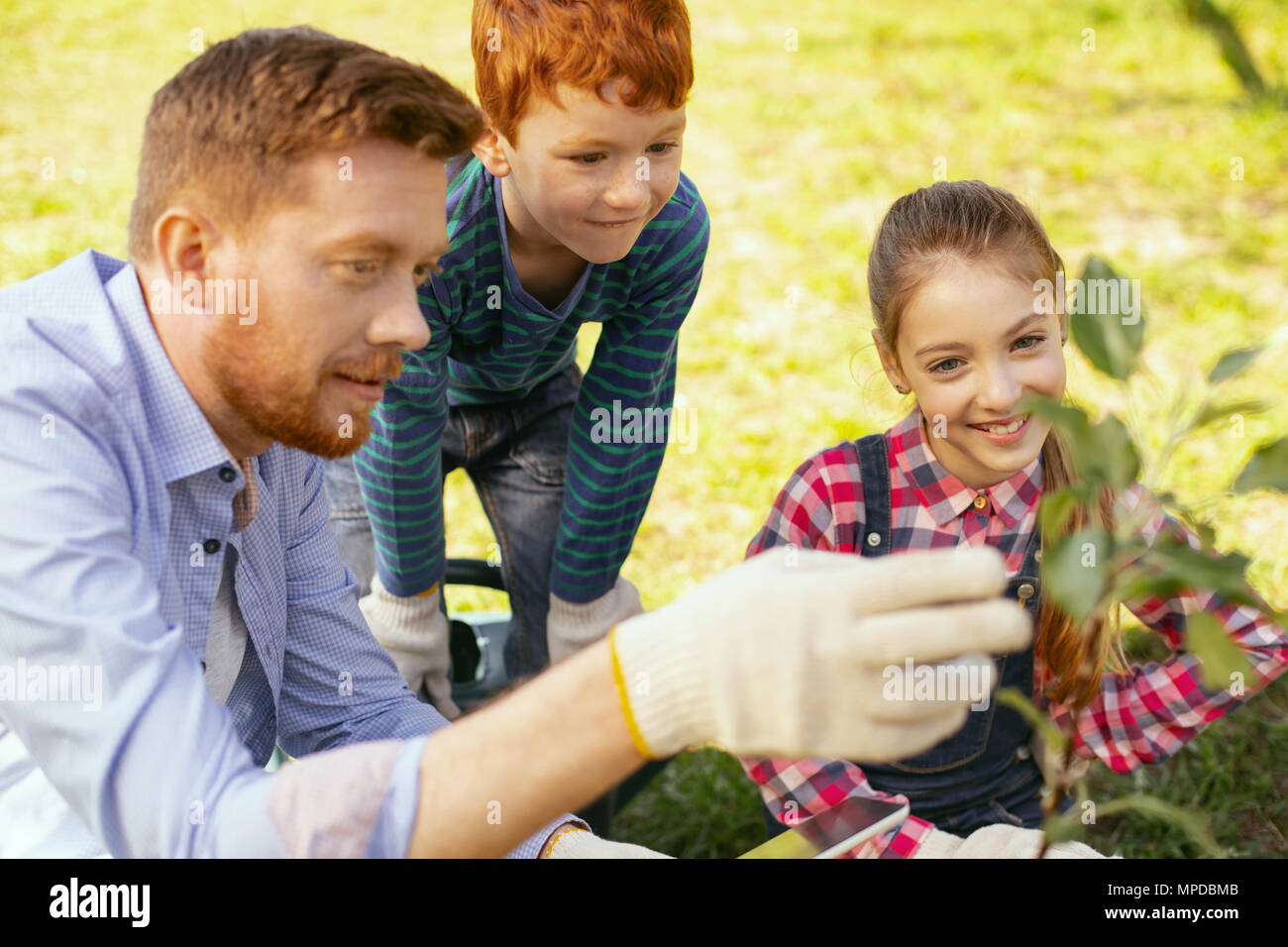 Positive nice man talking to his children Stock Photo - Alamy