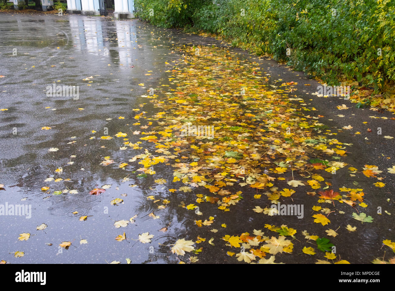 Pool of rain water hi-res stock photography and images - Alamy