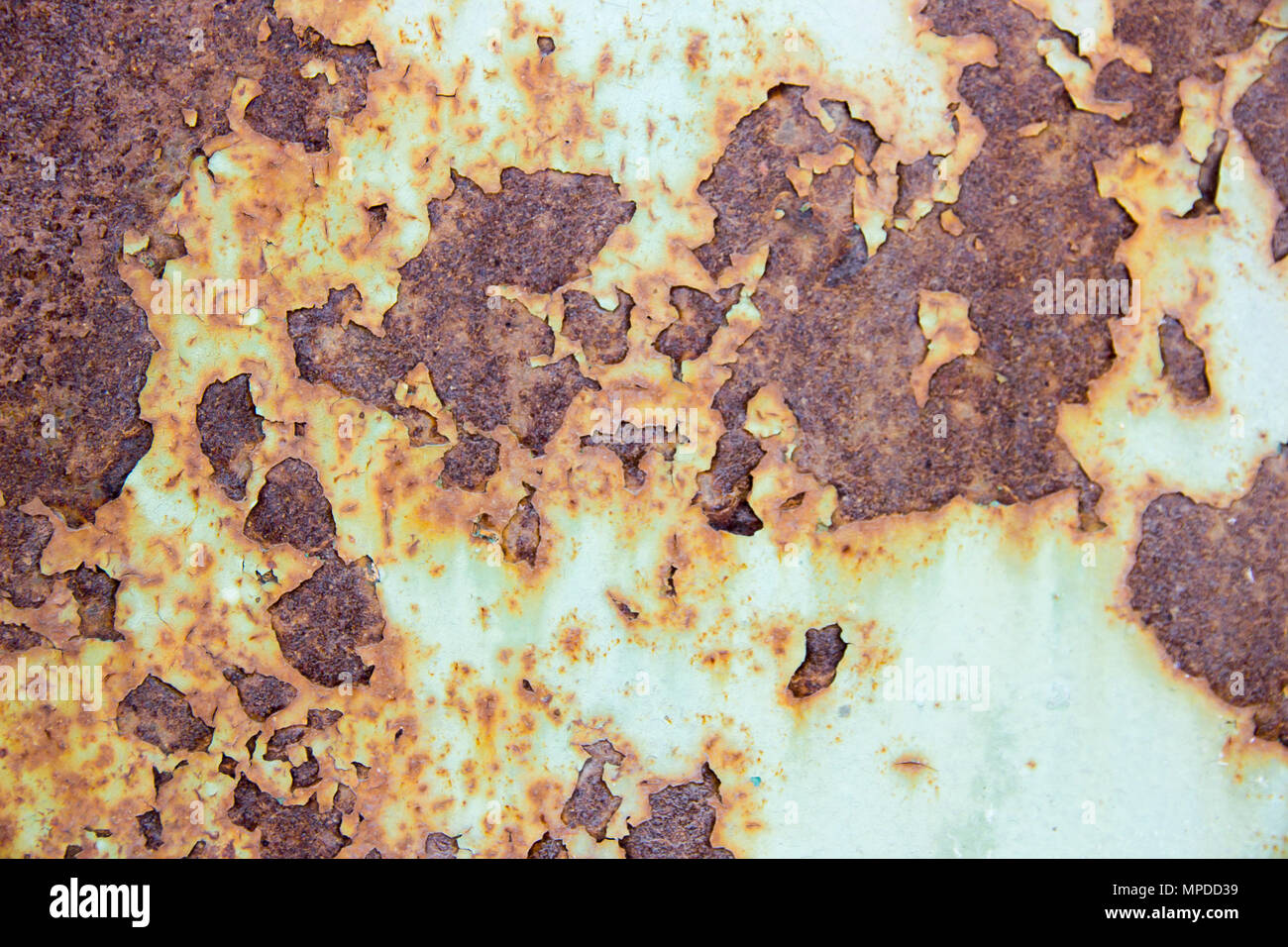 Fleck white paint hi-res stock photography and images - Alamy