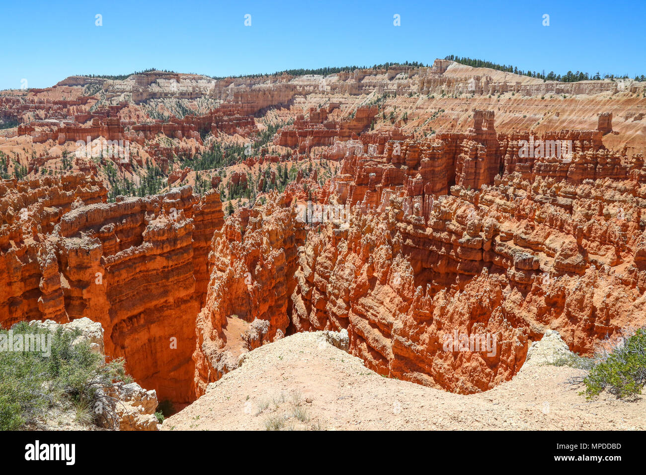 Hoodoos of Bryce Canyon in Bryce Canyon National Park, UT Stock Photo ...