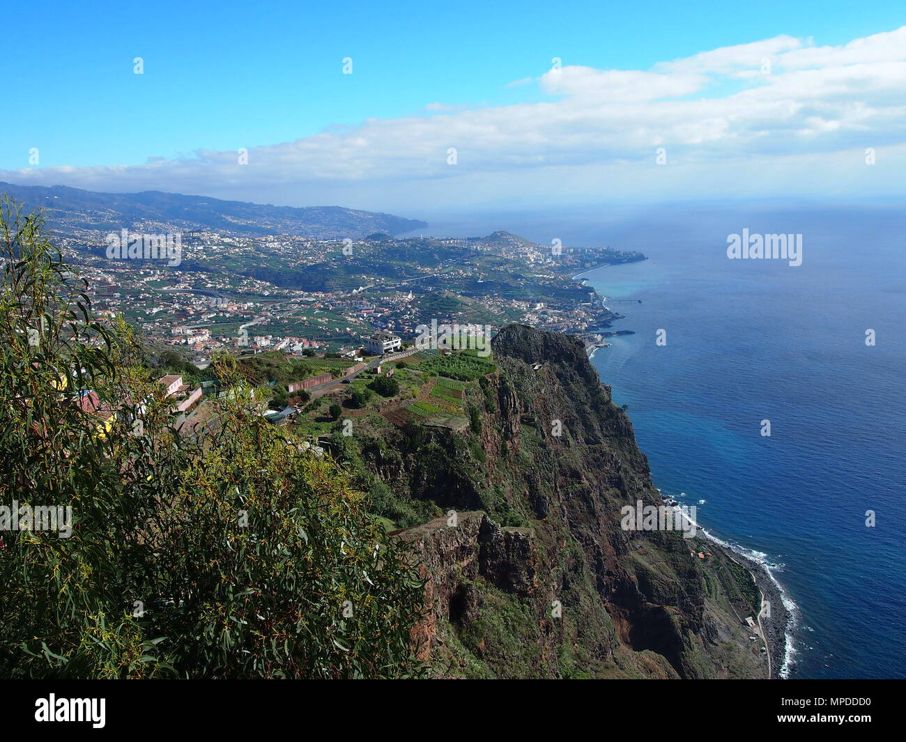 Madeira cliff top horizon, highest sea cliff in Europe, stunning view ...