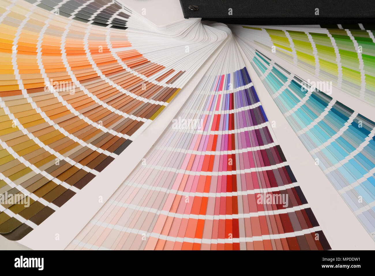 Color palette with various samples. Paint selection catalog, isolated ...
