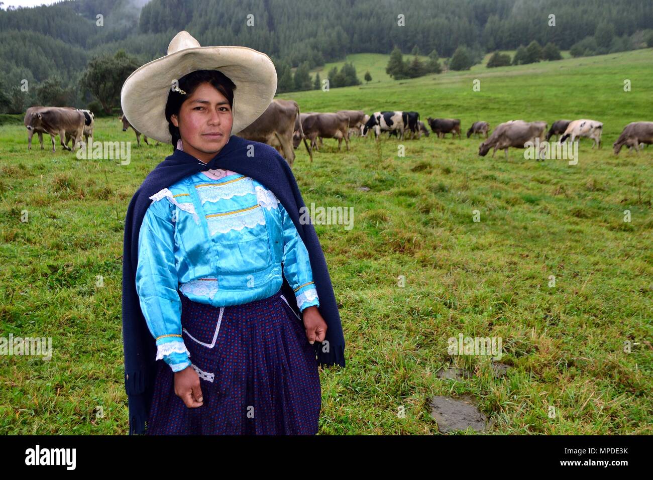 Peruvian woman cow hi-res stock photography and images - Alamy